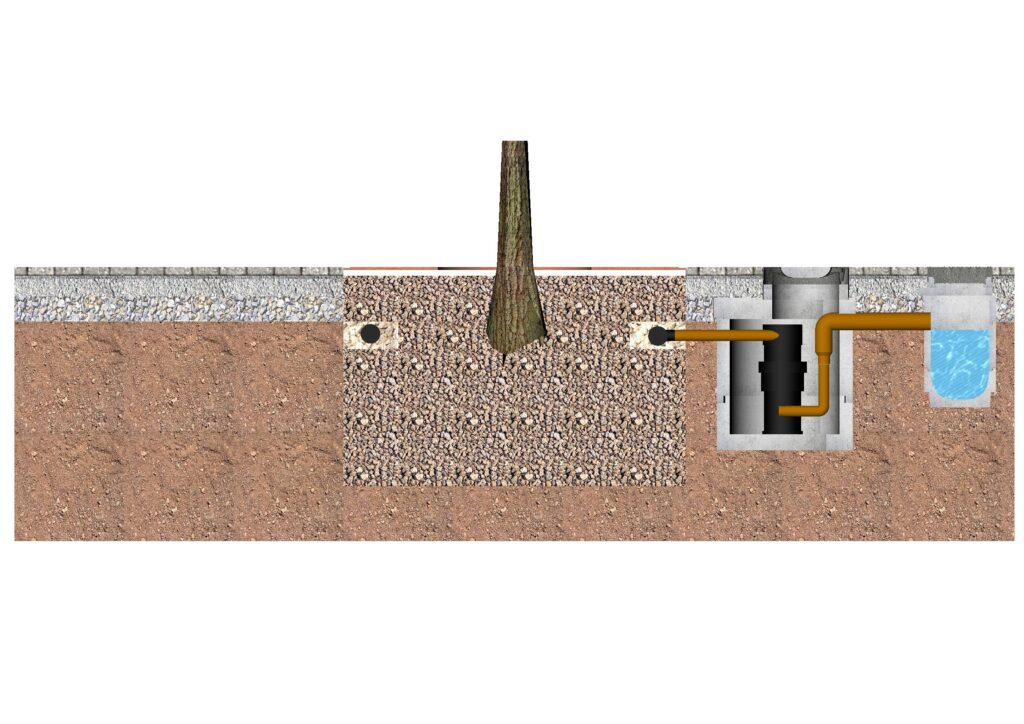 PK-Baumrigolen - PK Regenwassermanagement